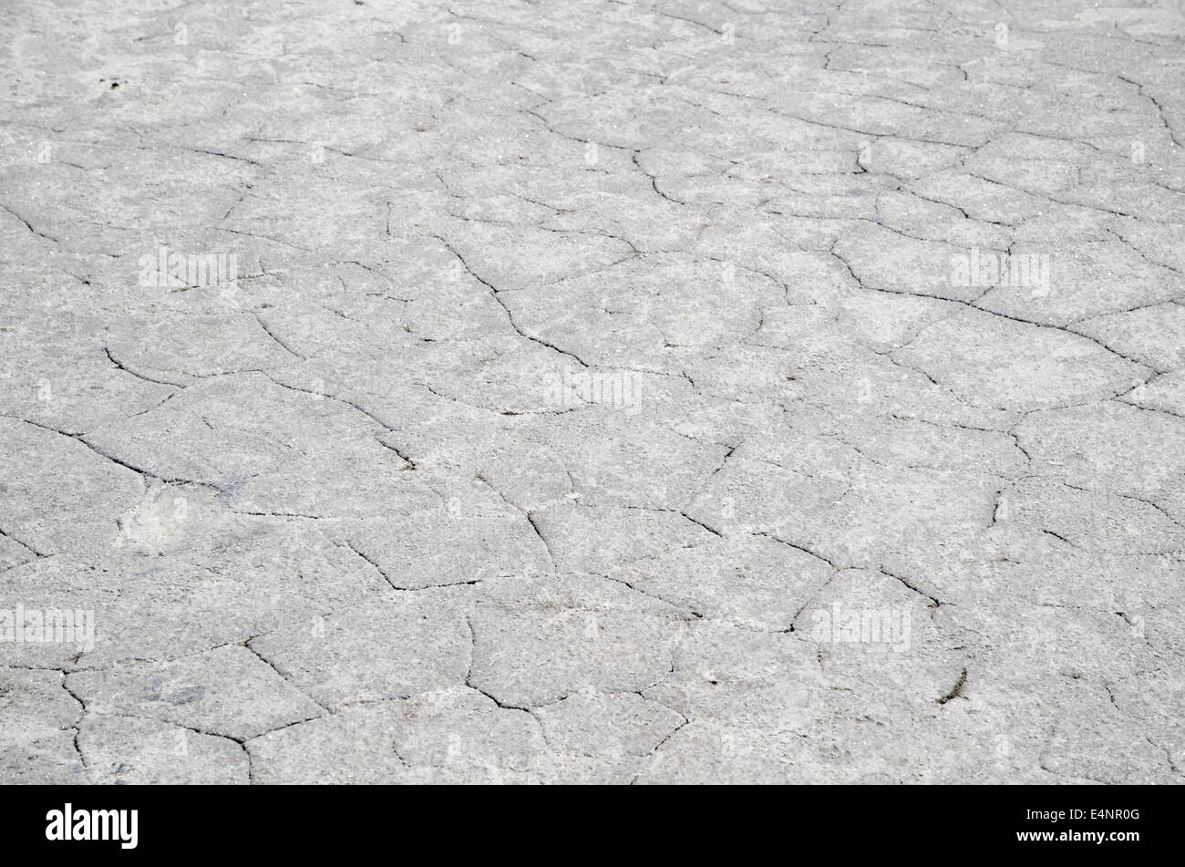 Salty environment hi-res stock photography and images - Alamy