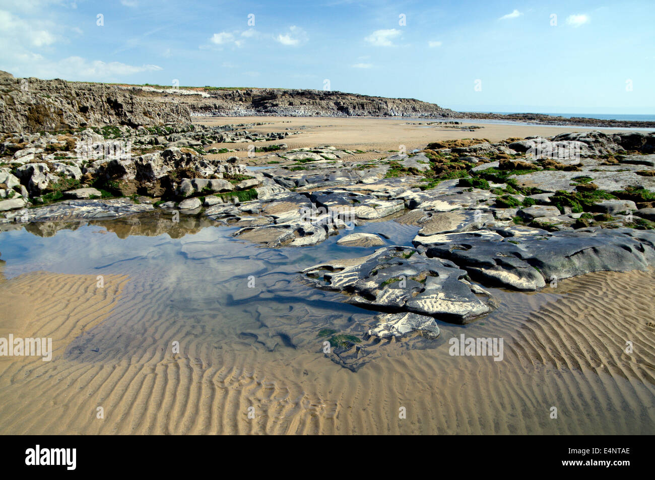 Rock pools, Rest Bay, Porthcawl. South Wales, UK Stock Photo - Alamy