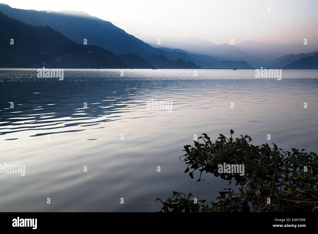 Phewa Lake (Phewa Tal) at Pokhara, Kaski District, Nepal Stock Photo ...