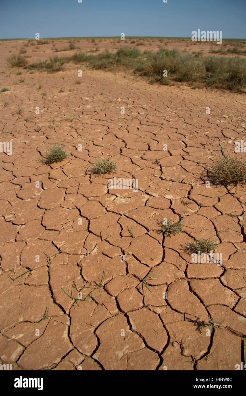 Semi Arid Vegetation Stock Photos & Semi Arid Vegetation Stock Images ...
