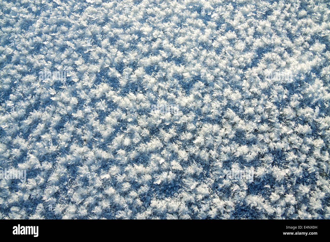 Glinting in the sun hi-res stock photography and images - Alamy