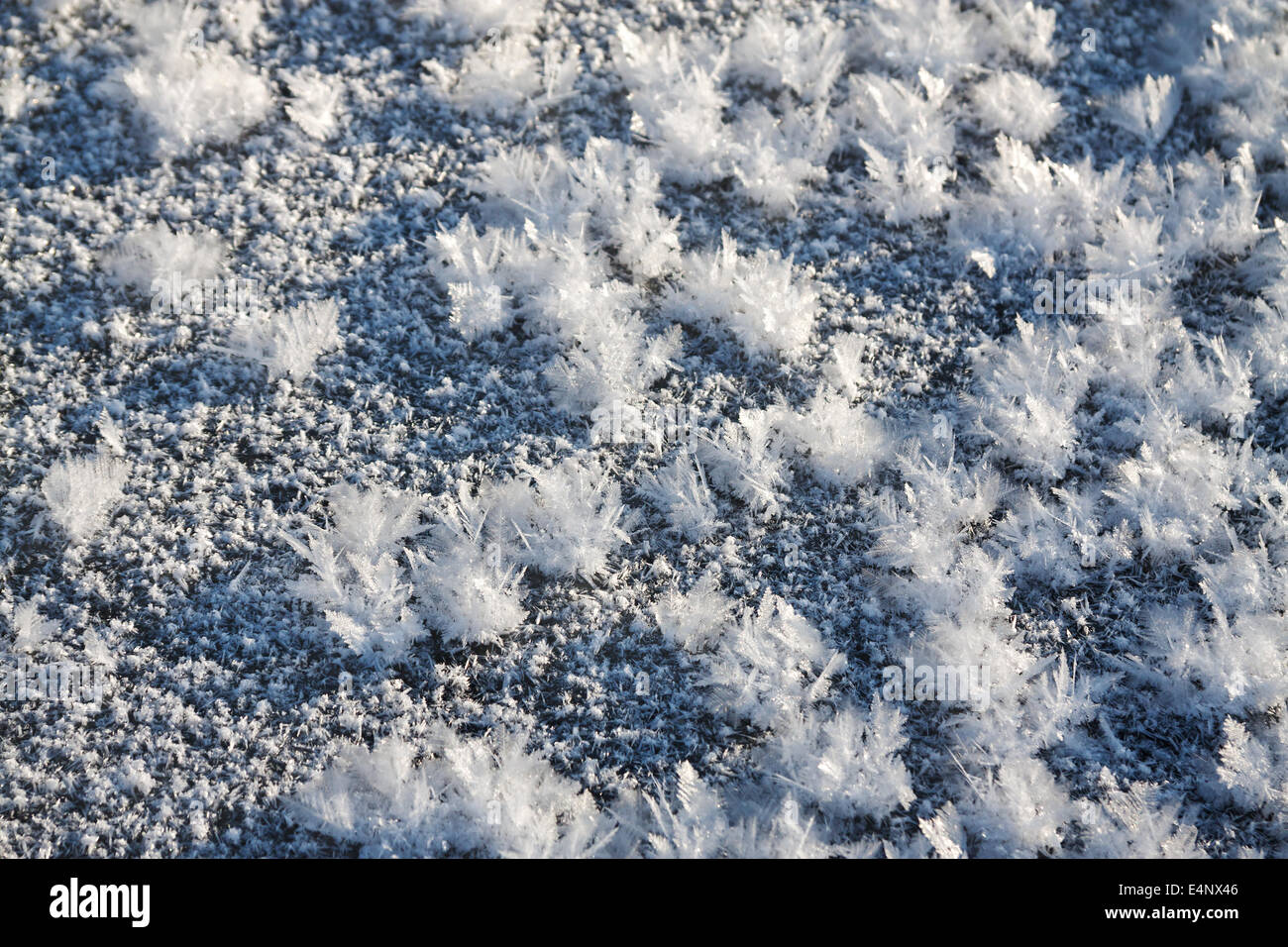 abstract background from snow glinting in the sun Stock Photo - Alamy