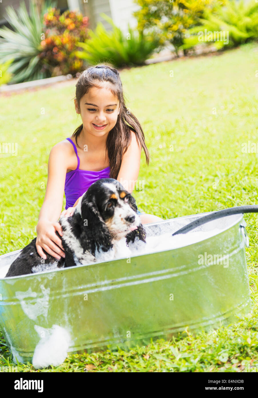 Girl (8-9) bathing dog Stock Photo - Alamy