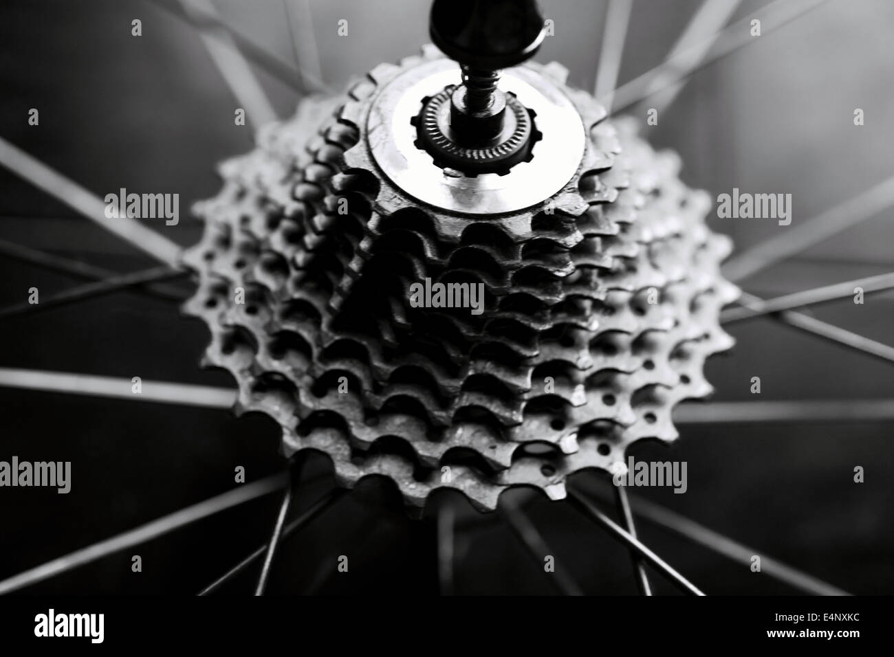 Close-up of bicycle gears Stock Photo - Alamy