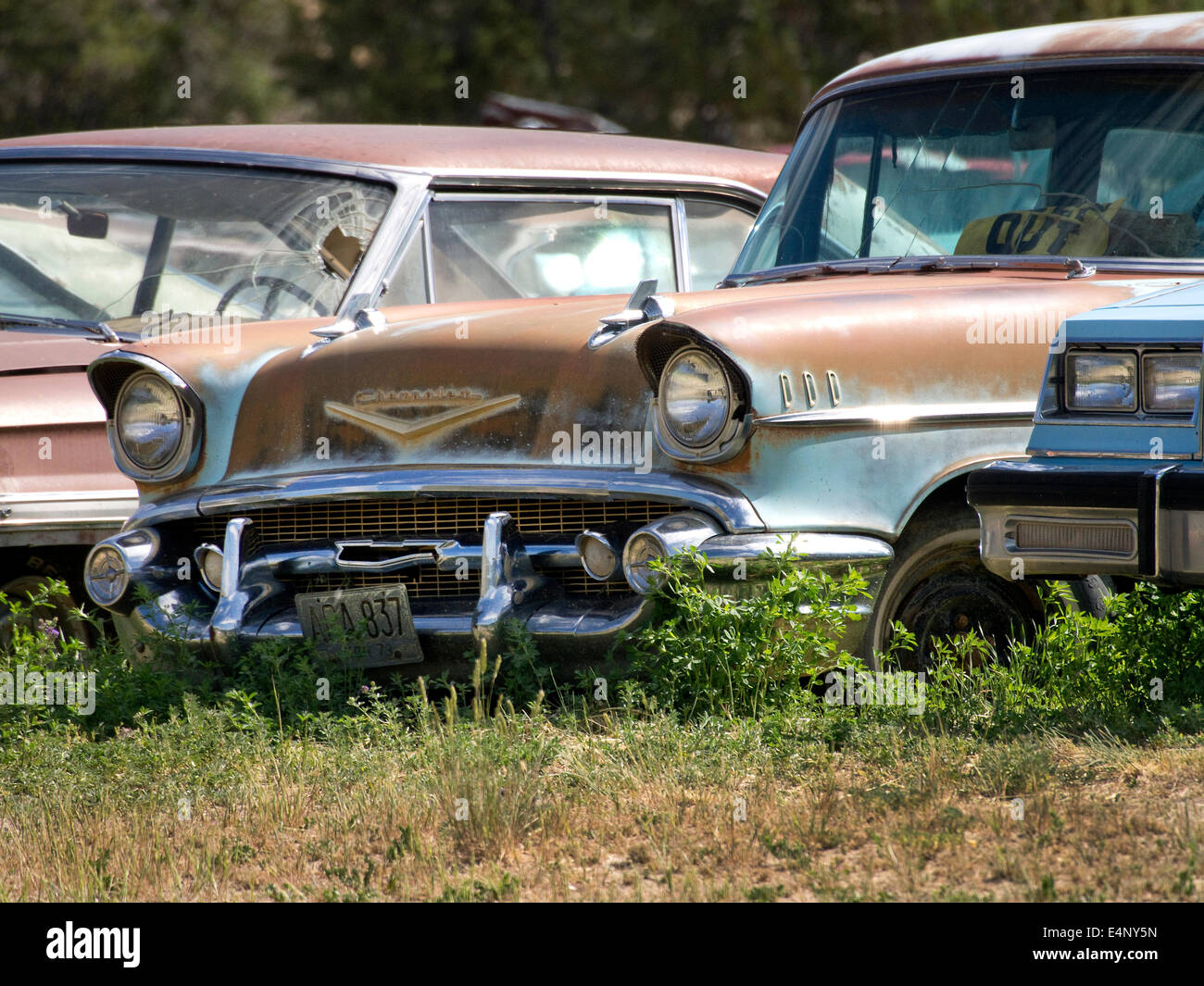 Junkyard car hi-res stock photography and images - Alamy