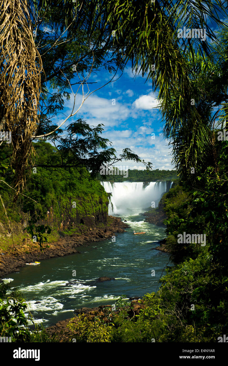 Iguacu Waterfalls in Brazil and Argentine framed by palm trees Stock ...