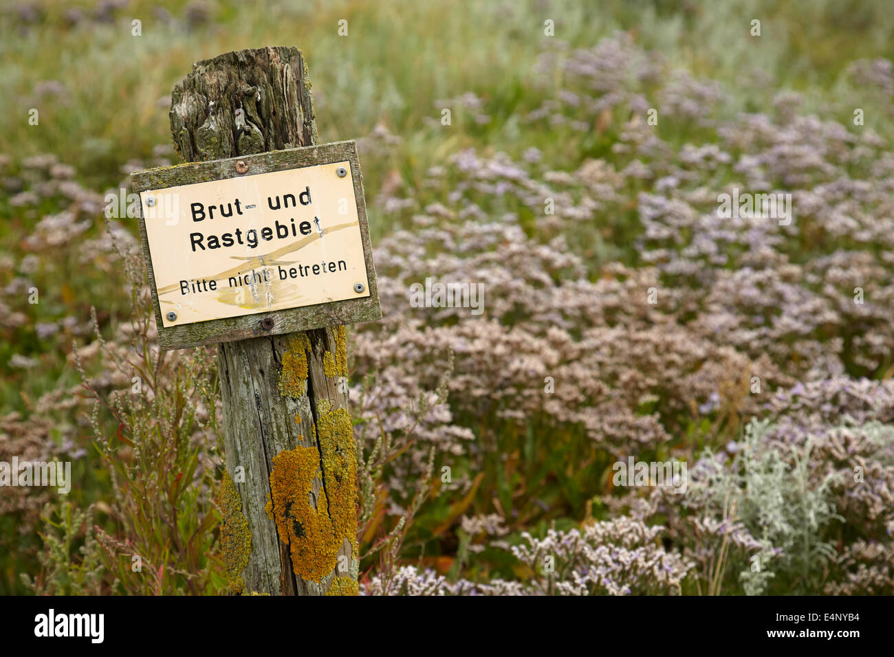 Bird,sanctuary,sign hi-res stock photography and images - Alamy