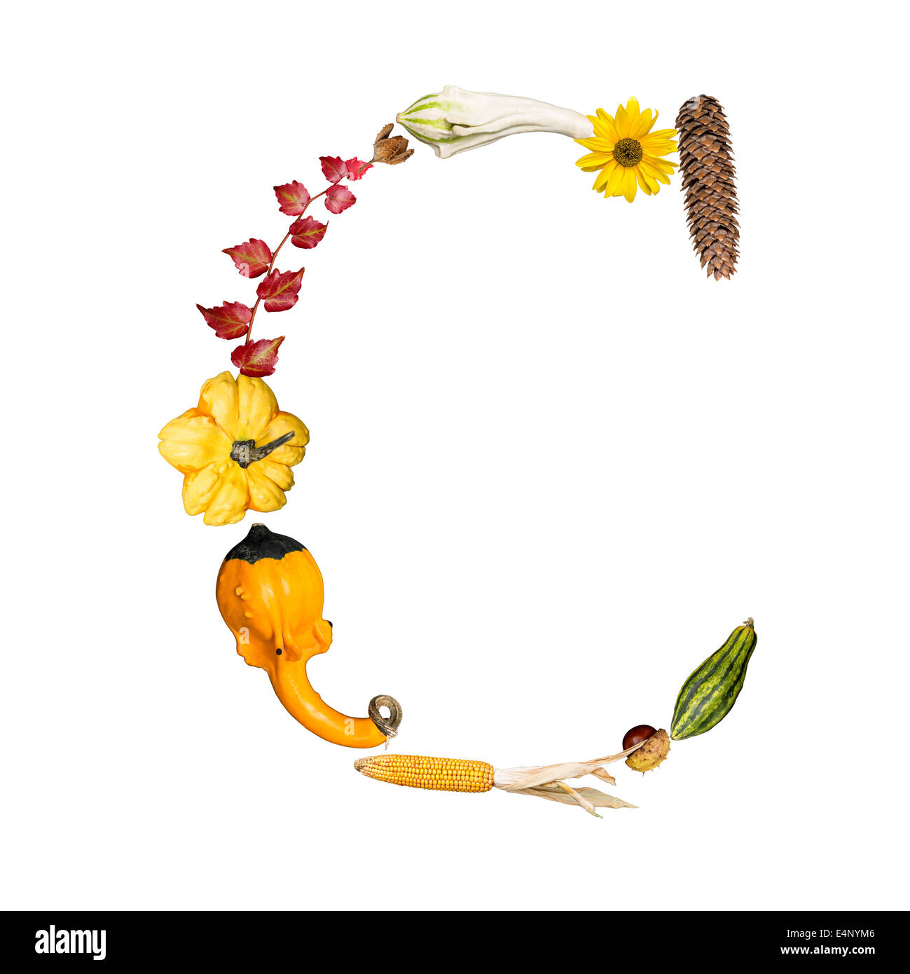 isolated Alphabet with autumn symbols Letter C Stock Photo - Alamy