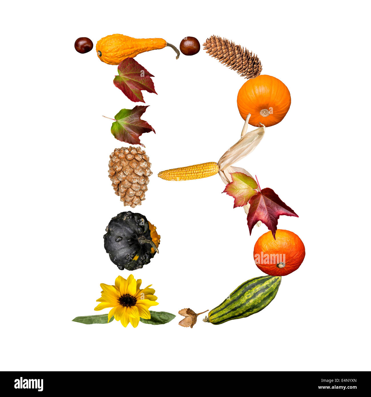 isolated Alphabet with autumn symbols Letter B Stock Photo - Alamy