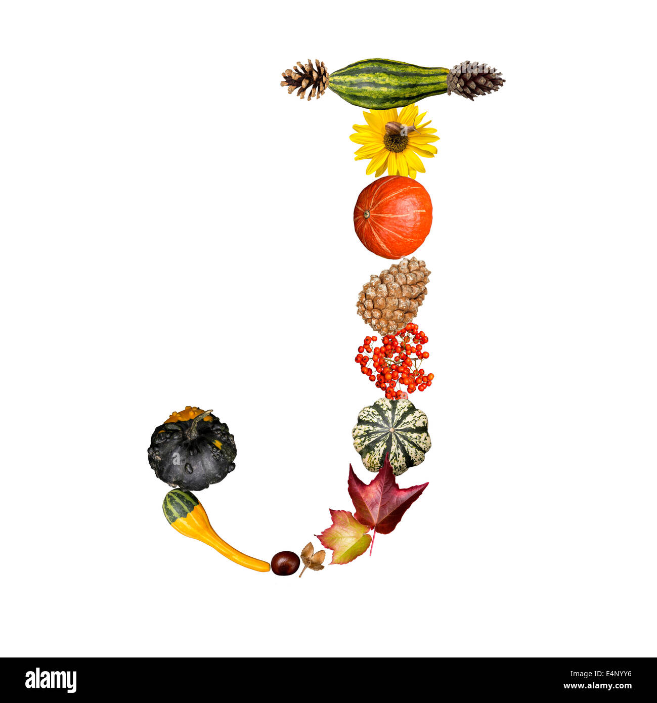 Alphabet letter nature j hi-res stock photography and images - Alamy