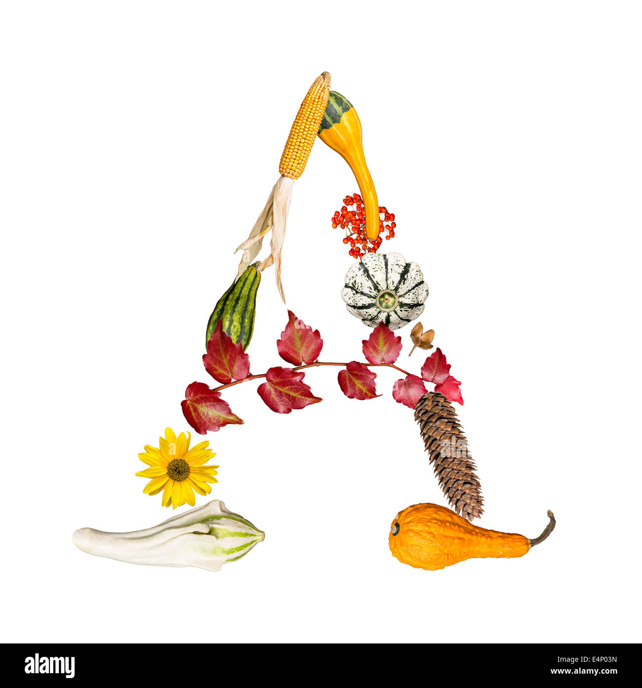 Letter a of the alphabet with leaves hi-res stock photography and ...