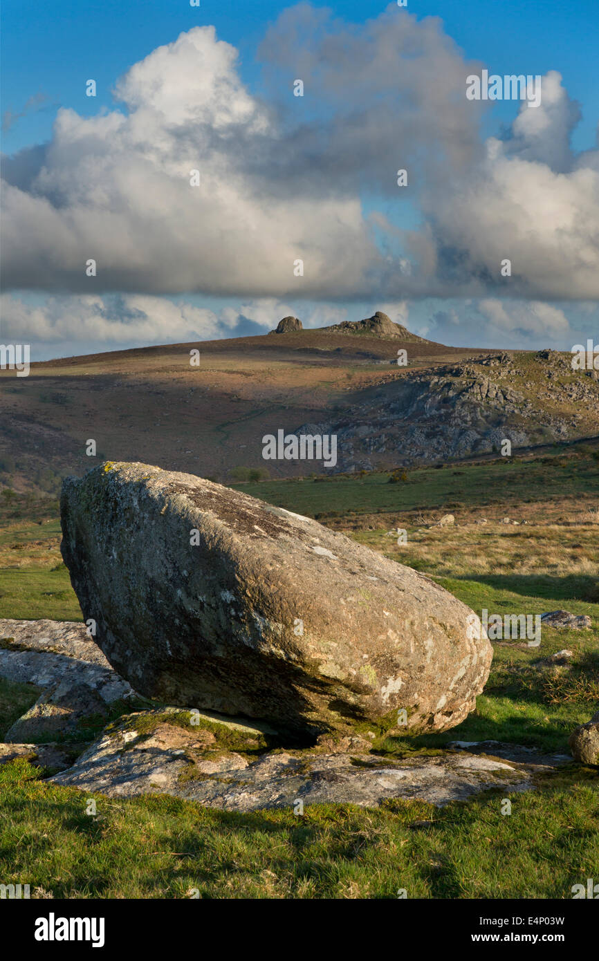 View to Haytor on Dartmoor, Devon Stock Photo - Alamy