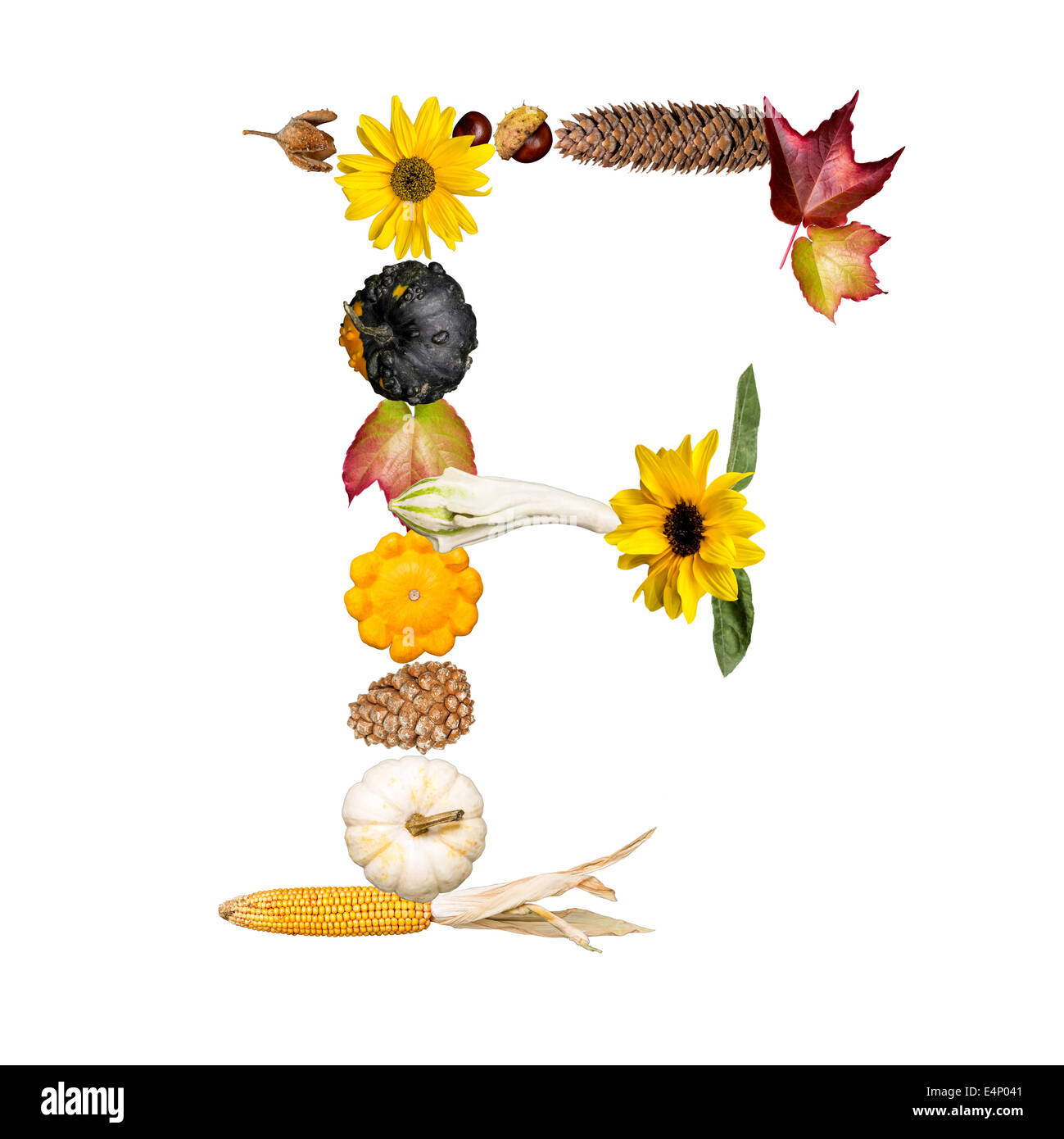 isolated Alphabet with autumn symbols Letter F Stock Photo - Alamy