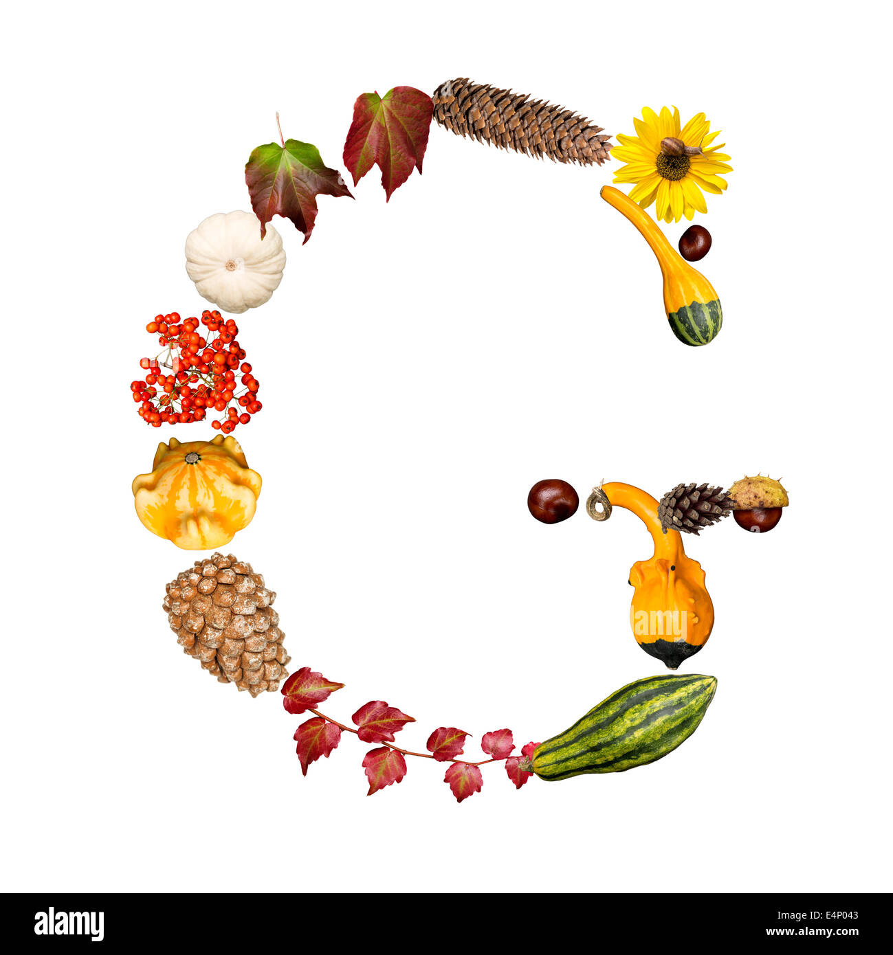 Letter g flowers hi-res stock photography and images - Alamy