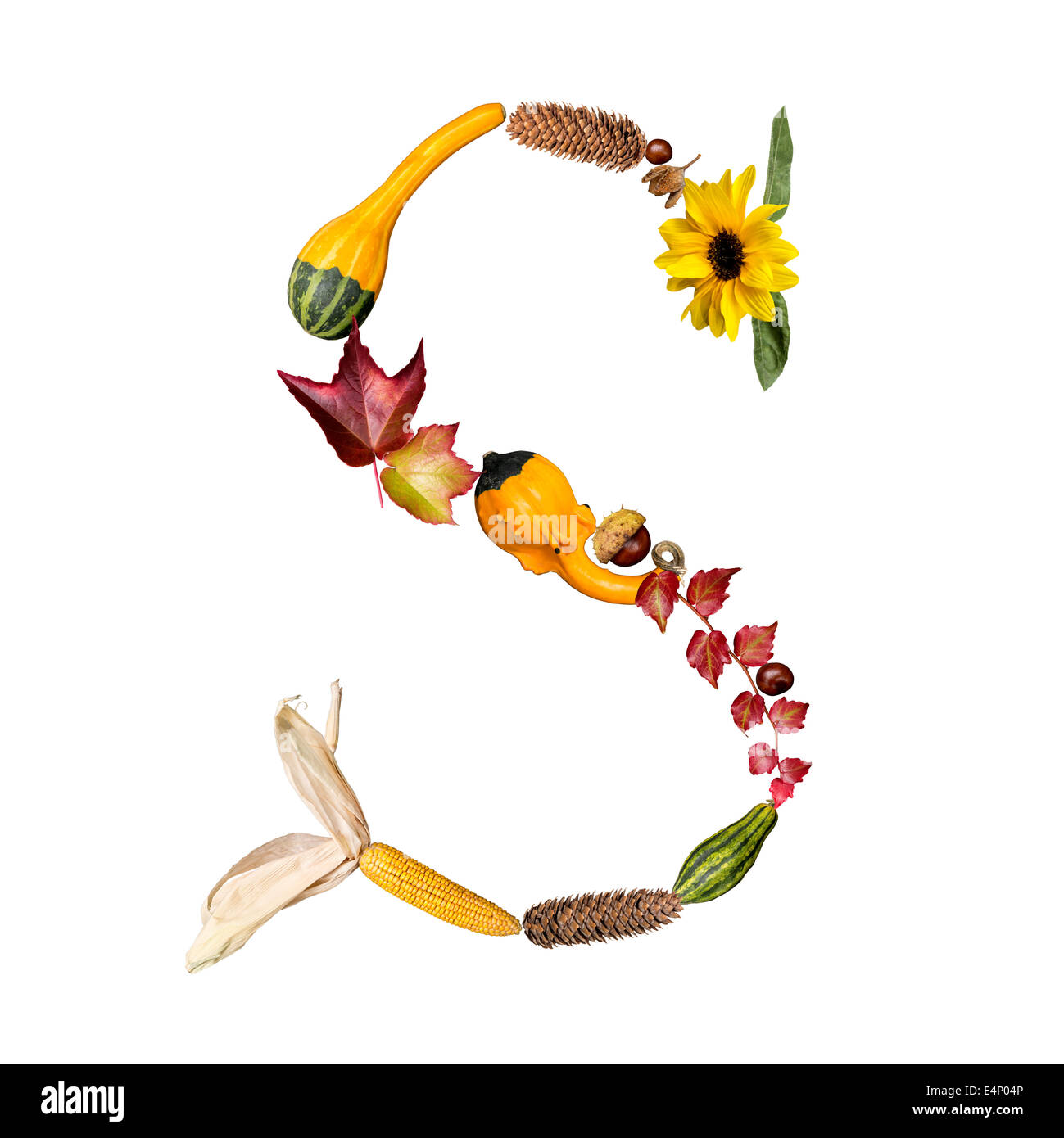 isolated Alphabet with autumn symbols Letter S Stock Photo - Alamy