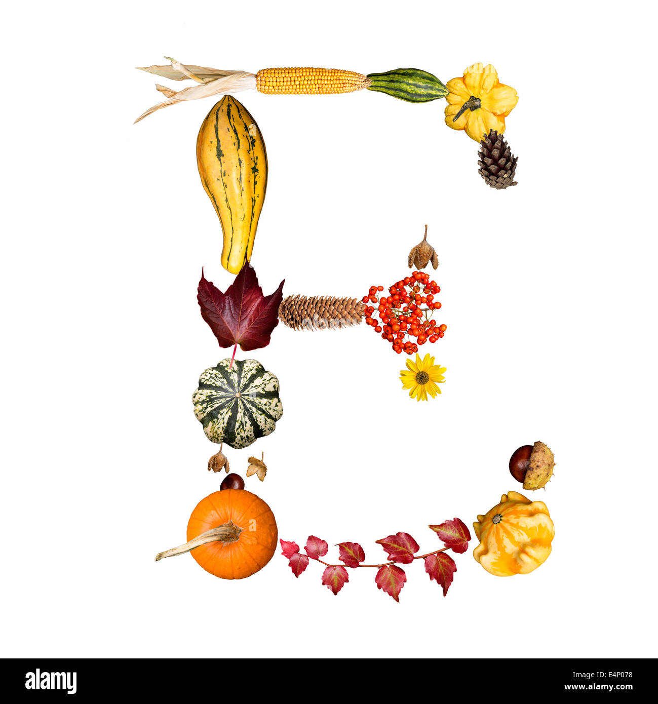 isolated Alphabet with autumn symbols Letter E Stock Photo - Alamy