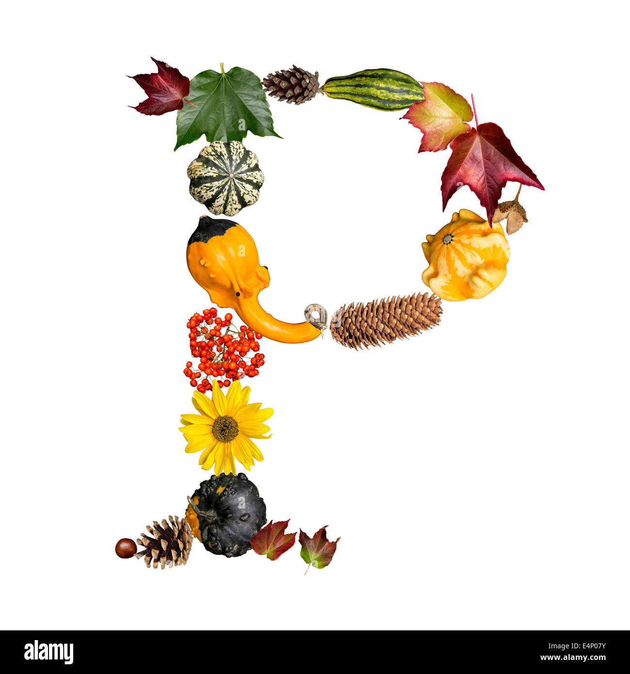 isolated Alphabet with autumn symbols Letter A Stock Photo - Alamy