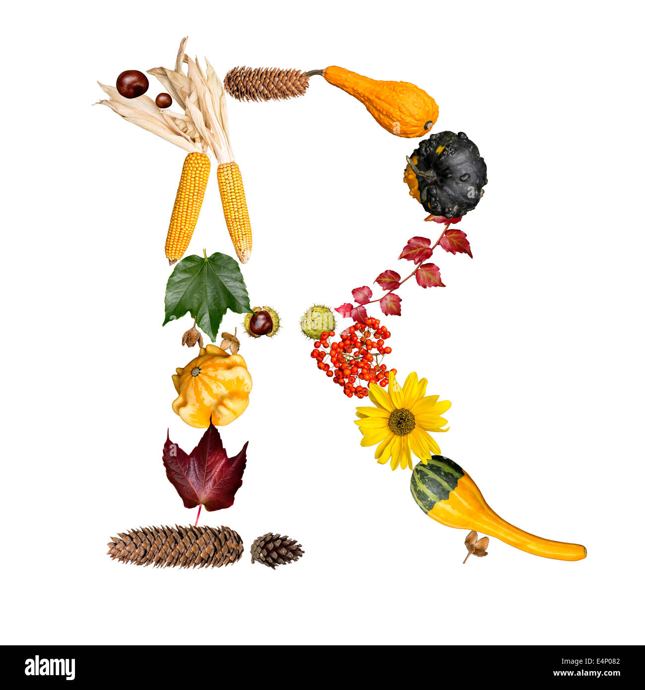 Letter r flowers hi-res stock photography and images - Alamy