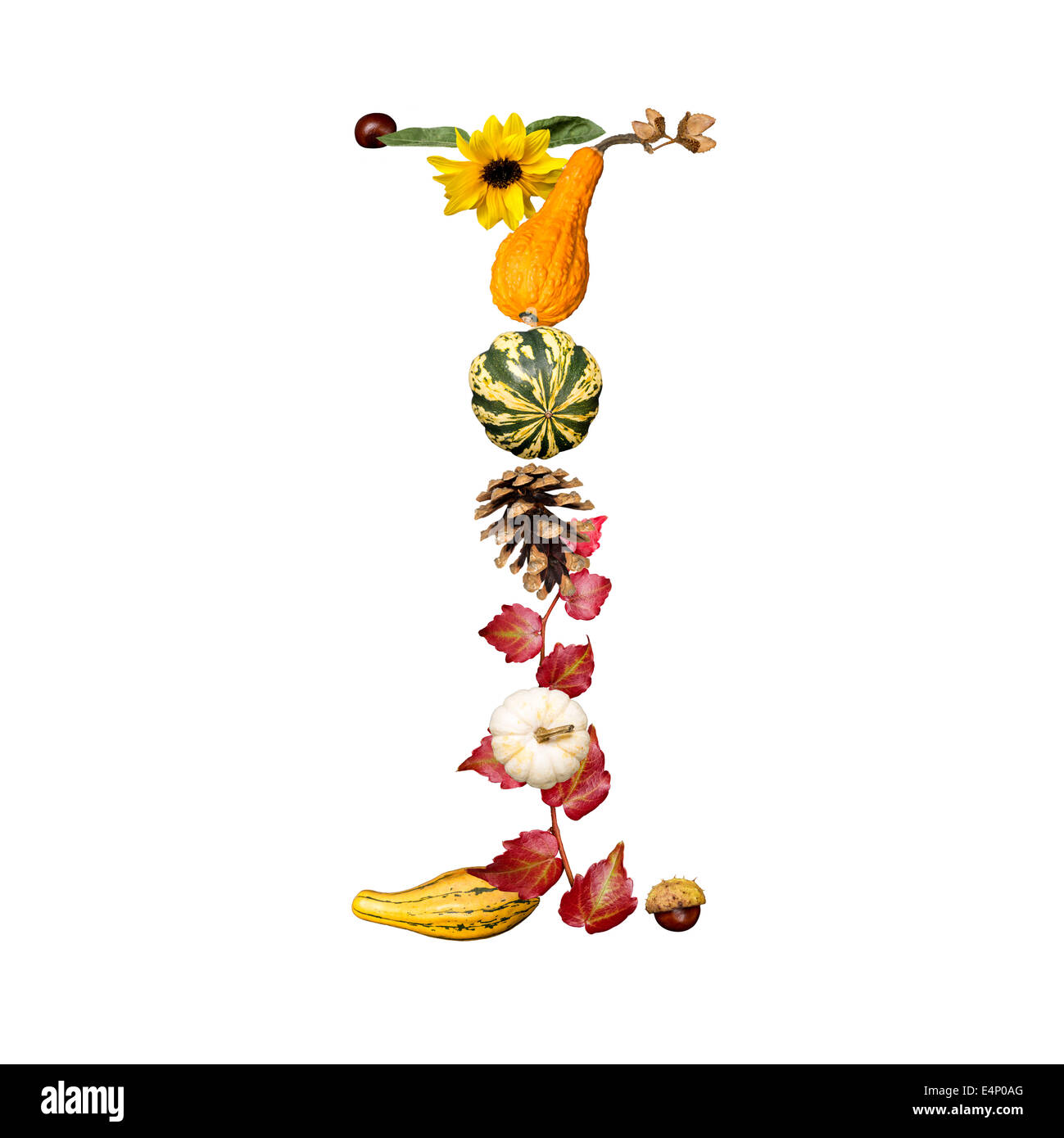 isolated Alphabet with autumn symbols Letter i Stock Photo - Alamy