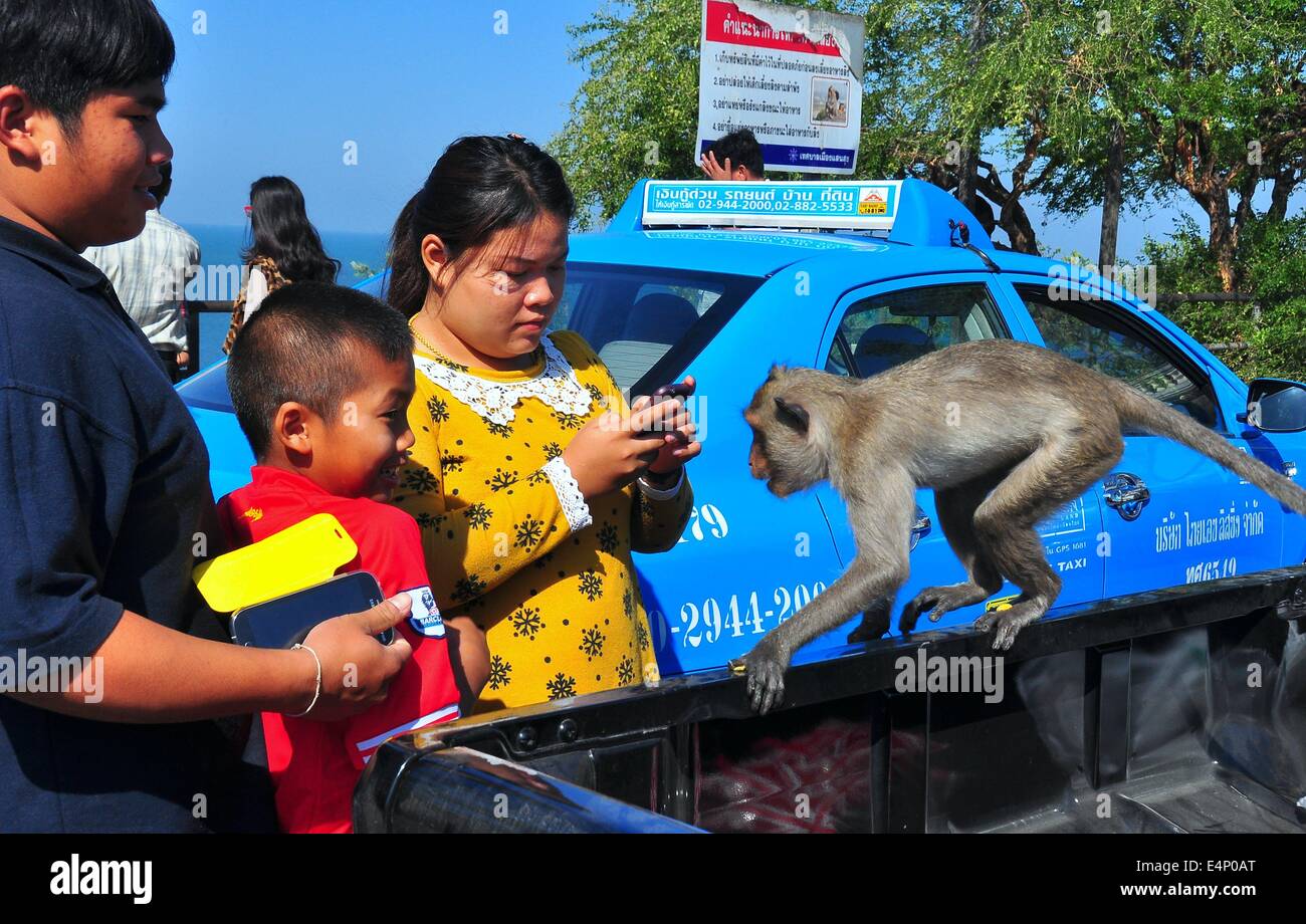 Bang Saen, Thailand: Thai family has an encounter with a monkey ...