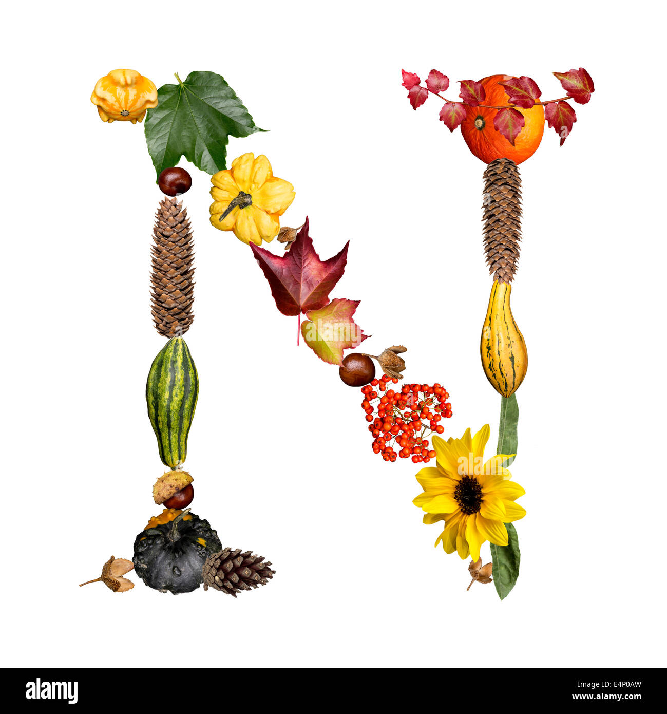 isolated Alphabet with autumn symbols Letter N Stock Photo - Alamy