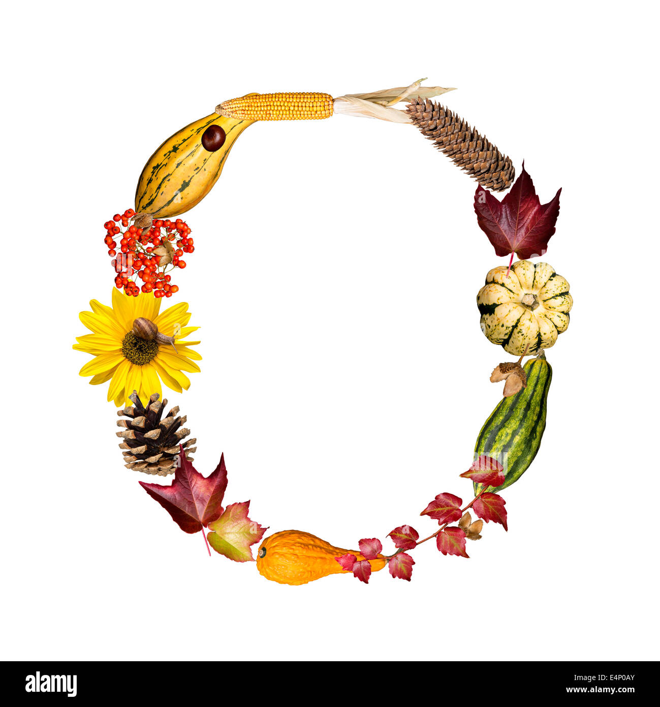 isolated Alphabet with autumn symbols Letter O Stock Photo - Alamy