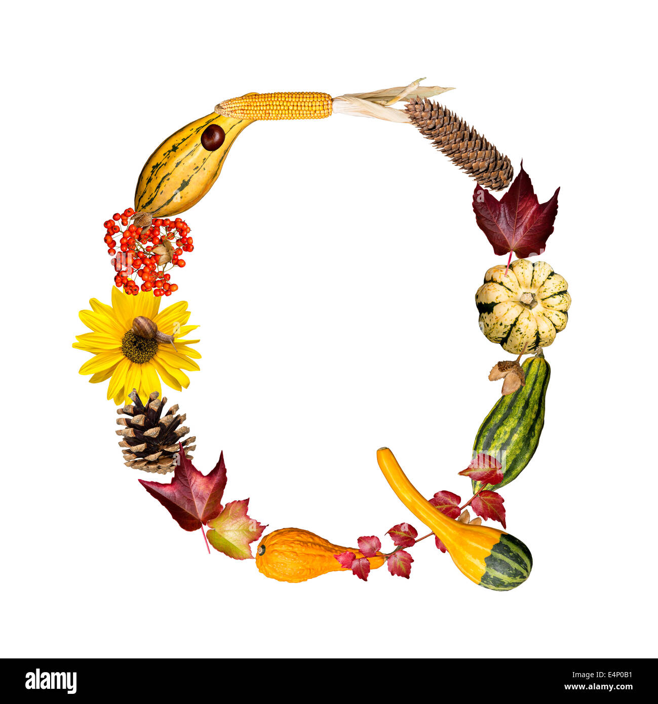 isolated Alphabet with autumn symbols Letter Q Stock Photo - Alamy
