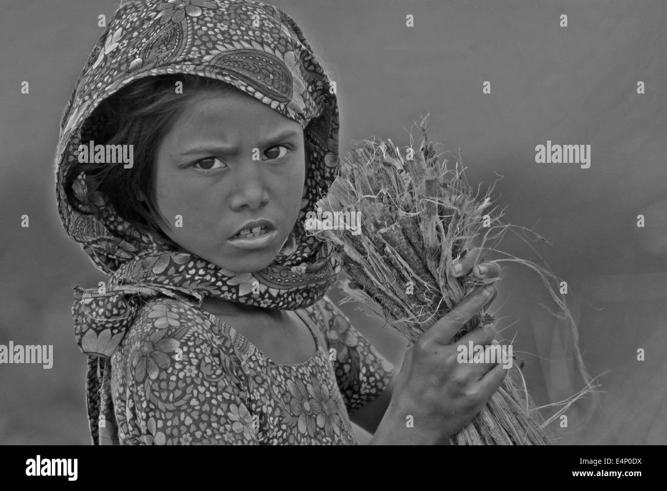 Jute Process In Bangladesh High Resolution Stock Photography and Images - Alamy