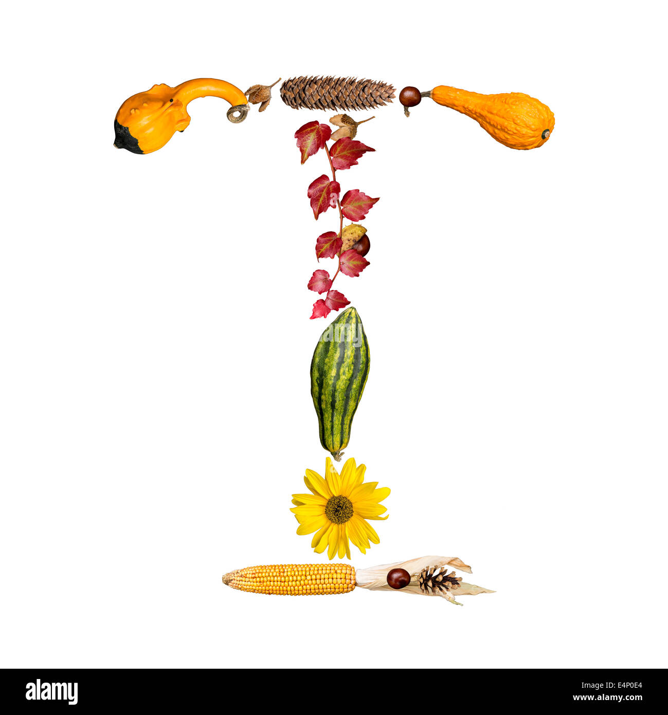 isolated Alphabet with autumn symbols Letter T Stock Photo - Alamy