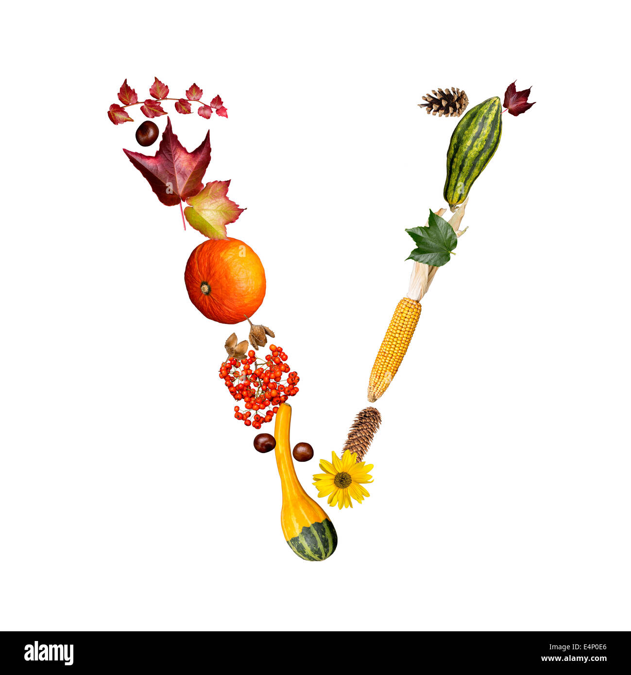 isolated Alphabet with autumn symbols Letter V Stock Photo - Alamy
