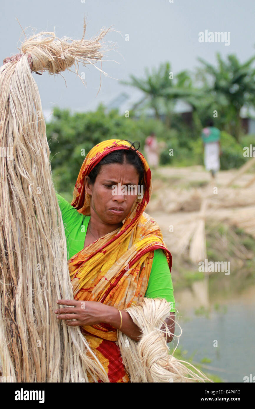 Jute process in bangladesh hi-res stock photography and images - Alamy