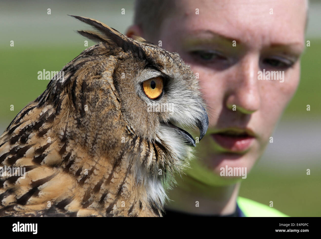 St.Petersburg, Russia. 15th July, 2014. Birds protect aircraft. Twenty ...