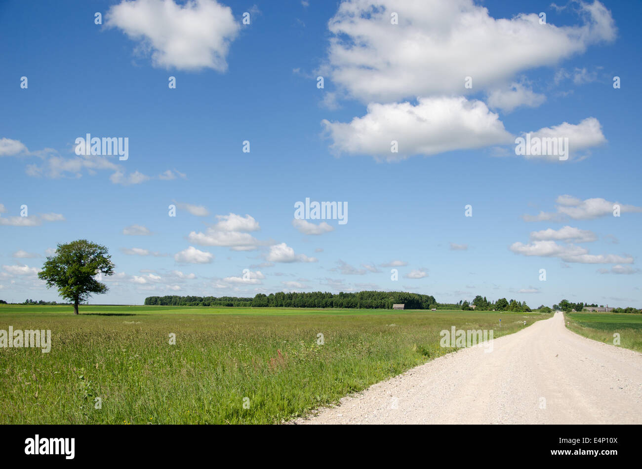 Landscape of rural gravel road and car automobile drive rising dust in ...