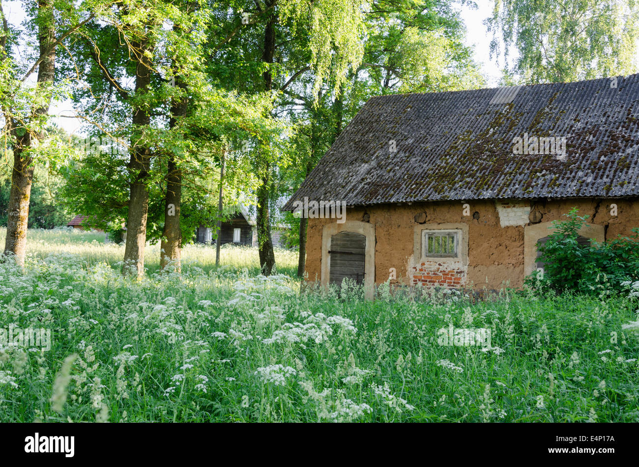 molar old dirty rural barn between the high grass Stock Photo - Alamy