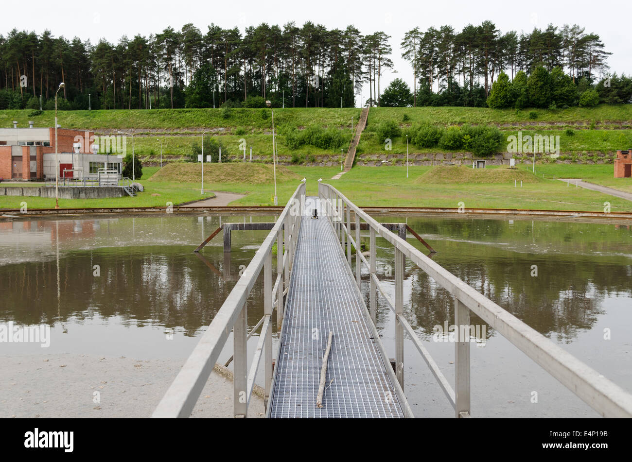 Mew circle hi-res stock photography and images - Alamy