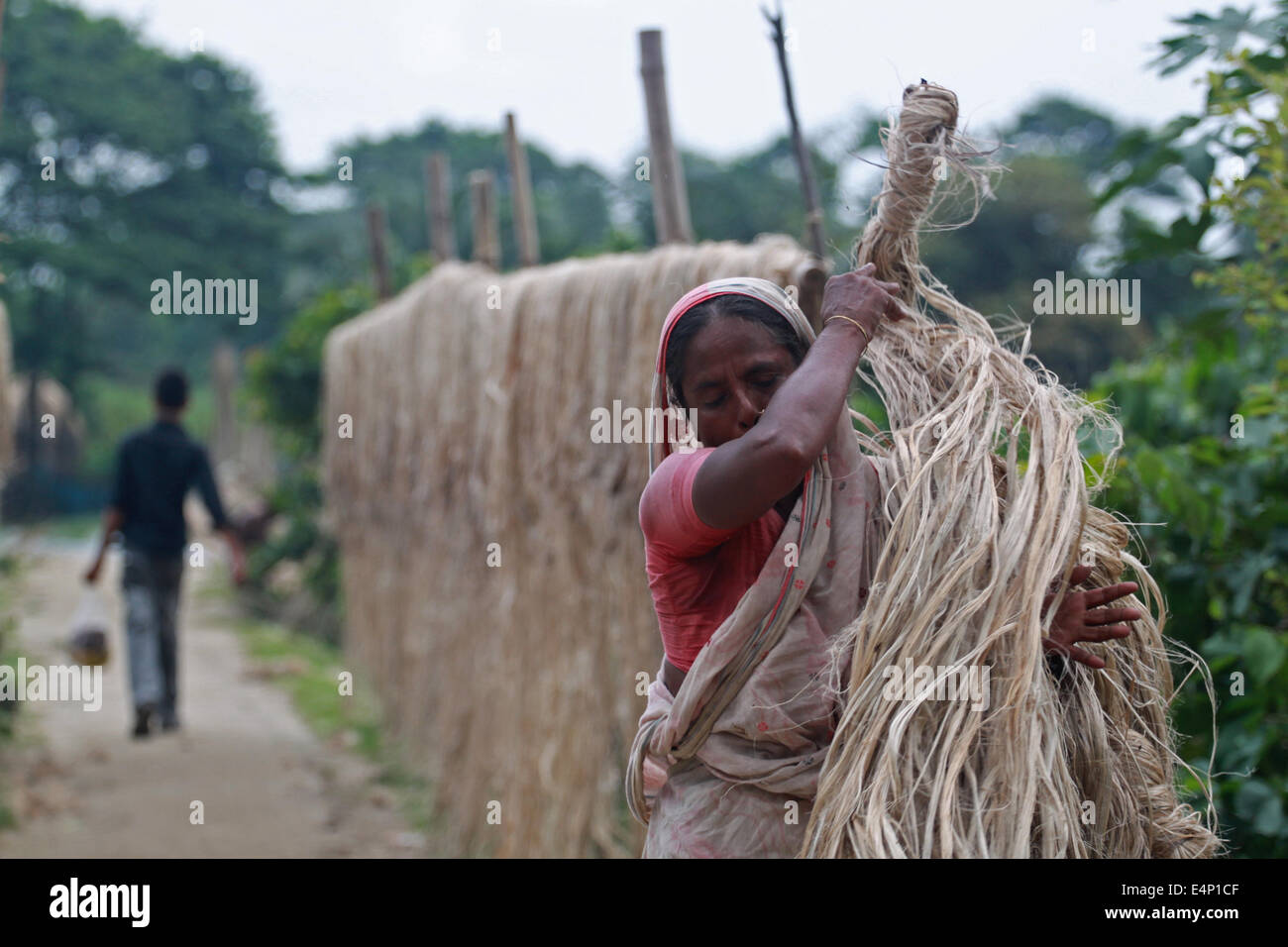 Jute process in bangladesh hi-res stock photography and images - Alamy
