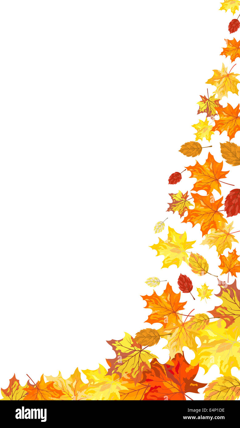 Autumn maple leaves background. Vector illustration without ...