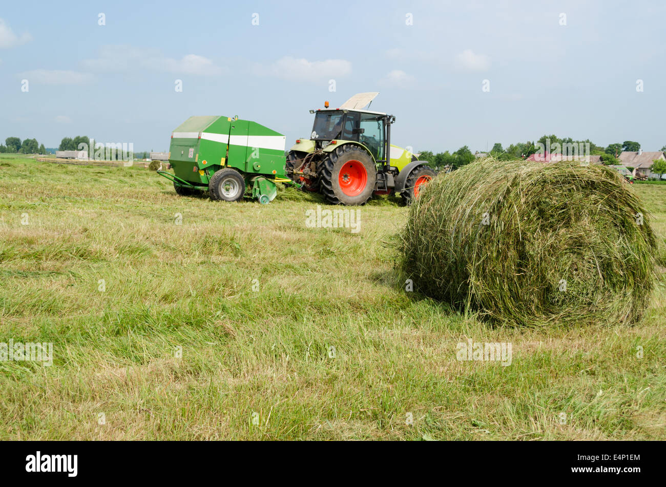 tractor bailer collect hay in field. Agricultural machine making hay ...