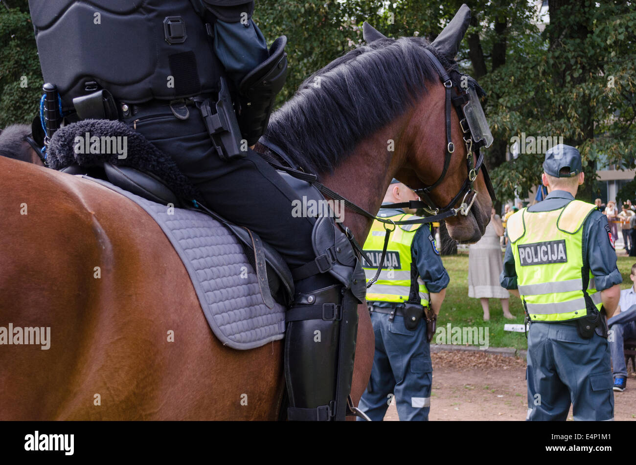 close up of mounted police horse and policeman at public event Stock ...