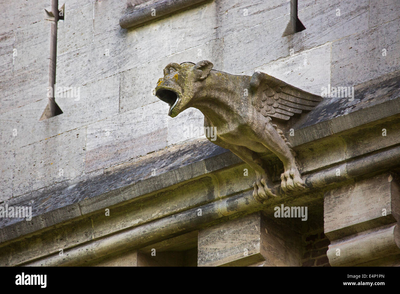 Stone gargoyle of the medieval Gaasbeek Castle at Lennik, Flemish ...