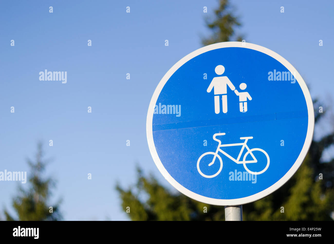 bicycle and pedestrian lane road sign on pole post in blue, walkway ...