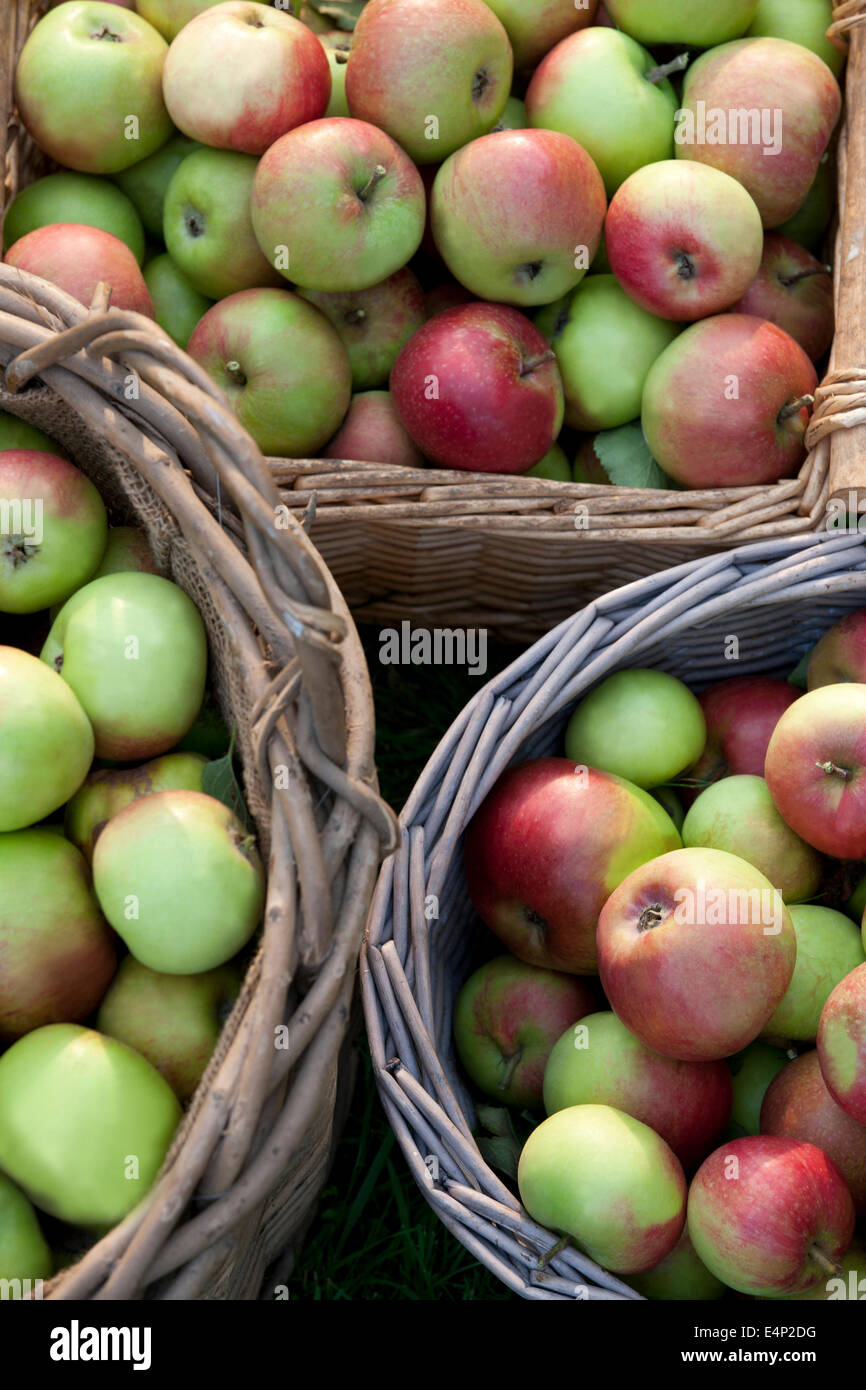 Baskets of apples hi-res stock photography and images - Alamy