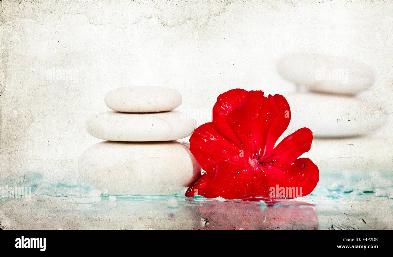 Spa stones and red flower on white background Stock Photo - Alamy
