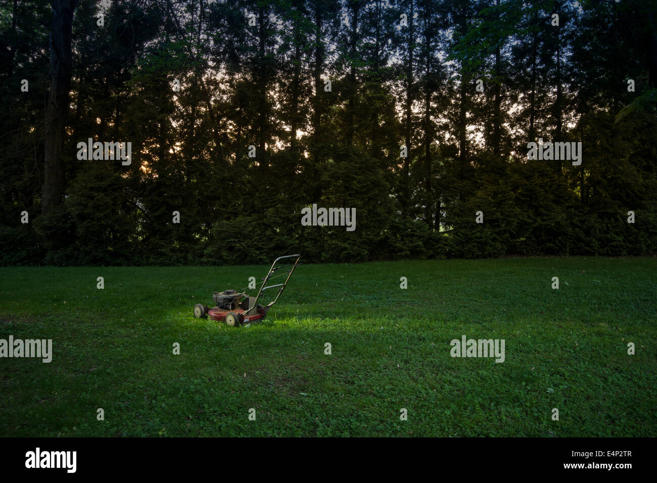 Lawn Mower In Back Yard Stock Photo - Alamy