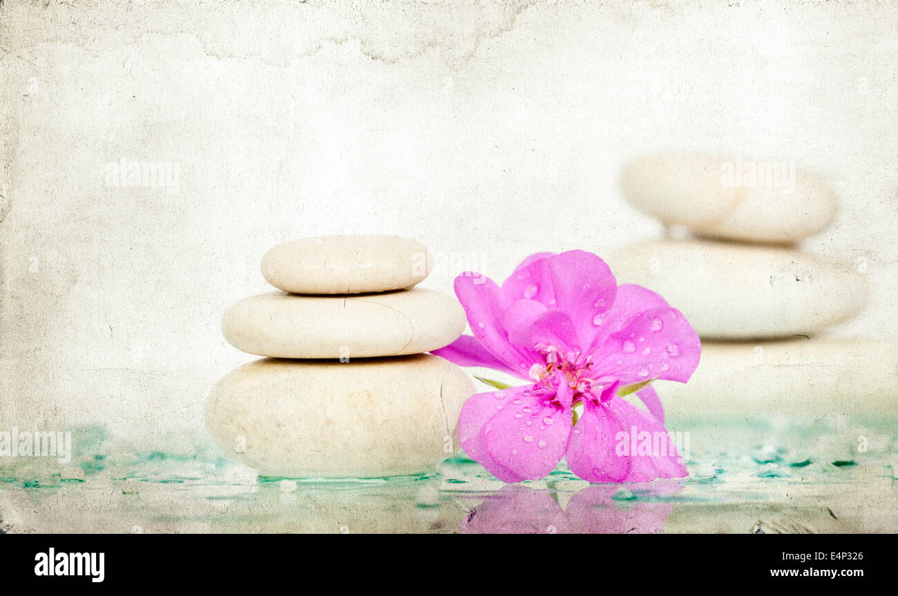 Spa stones and pink flower on white background Stock Photo - Alamy