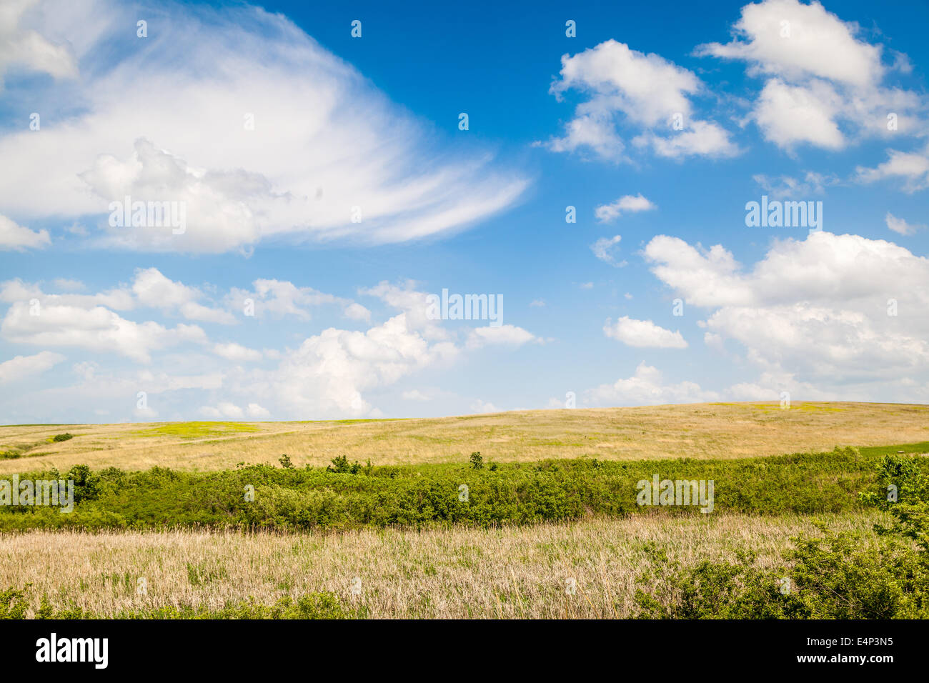 Native prairie hi-res stock photography and images - Alamy