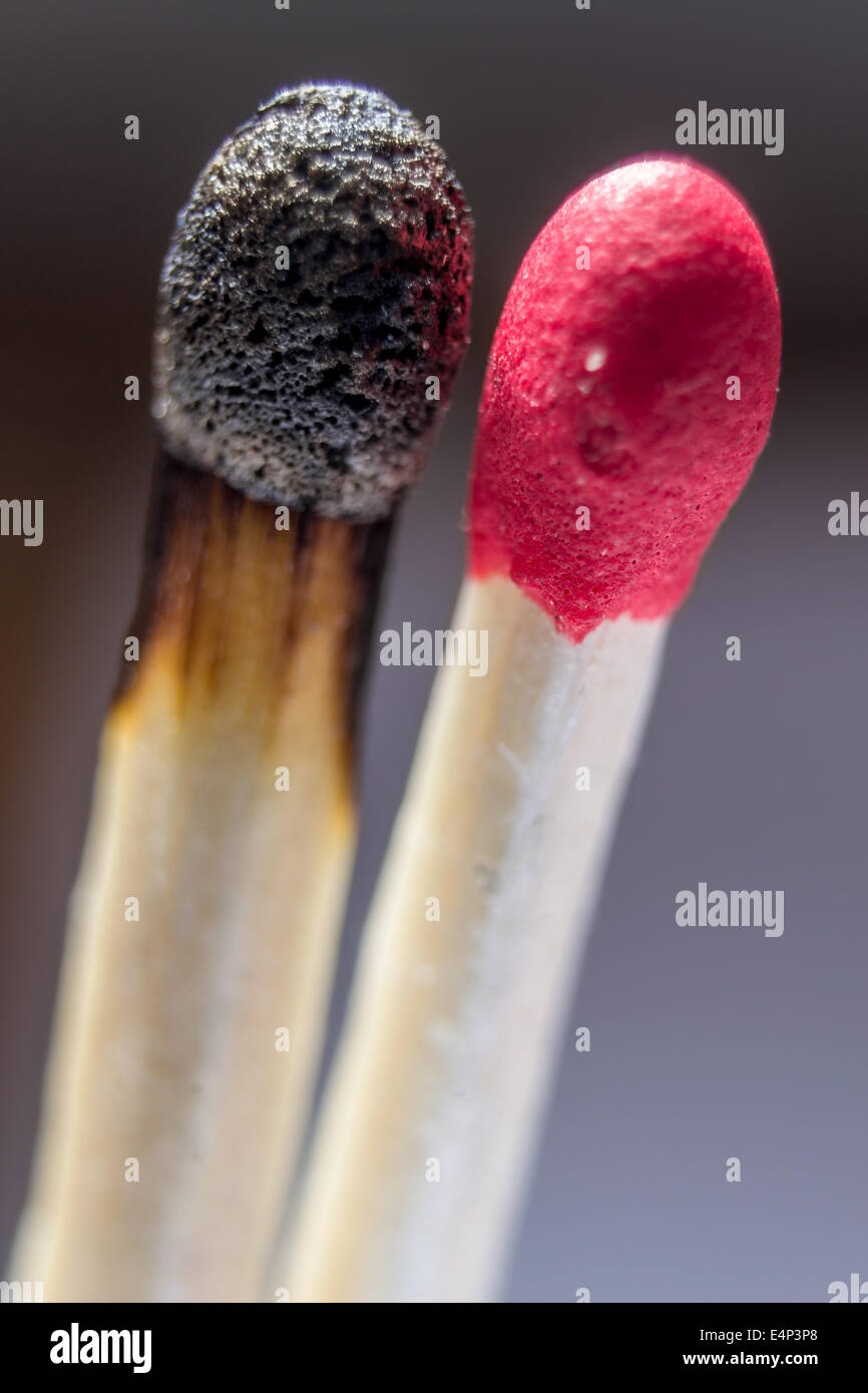 Matchsticks with one burned out Stock Photo - Alamy