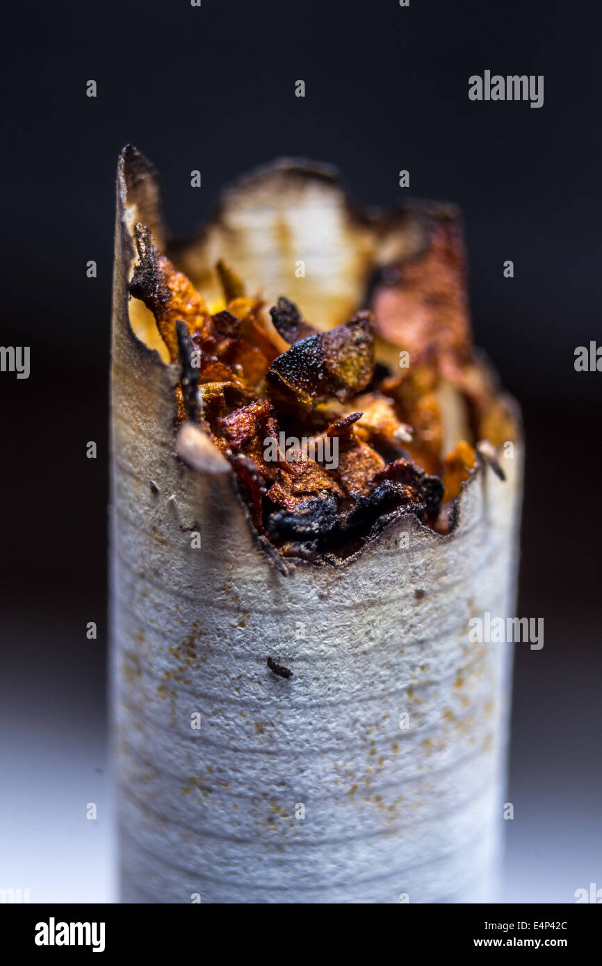 Closeup o unhealthy smoked cigarette Stock Photo - Alamy