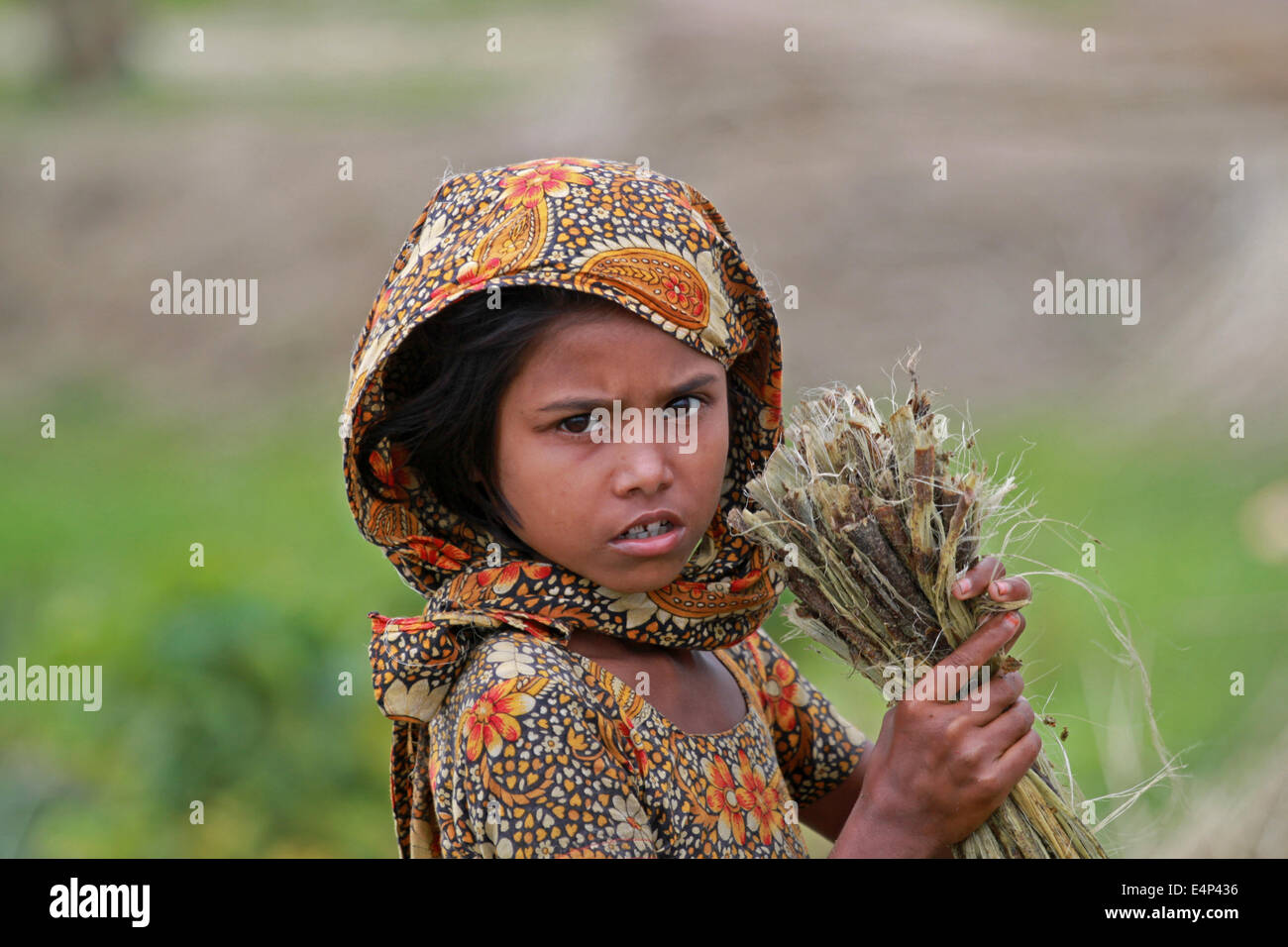 A girl processing jute Stock Photo - Alamy