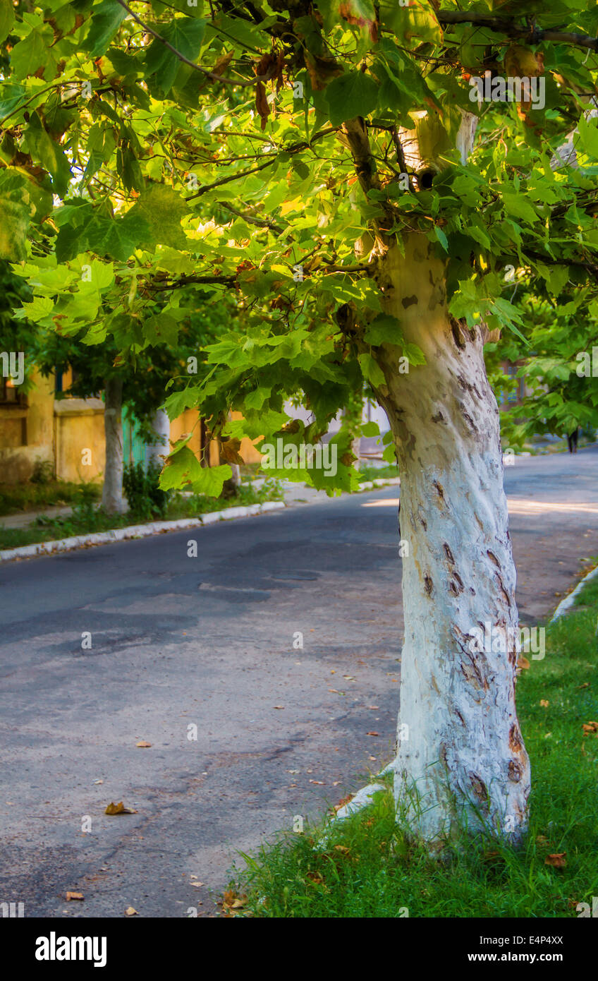 streen in small town Stock Photo - Alamy